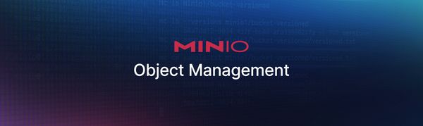 Install MinIO Ubuntu 22.04 | VCoderLog